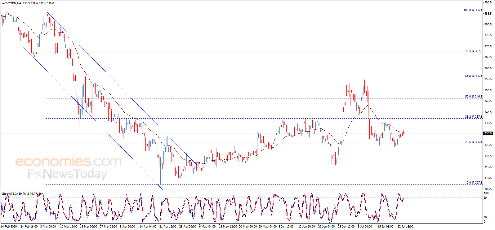 Midday update for Corn price 24-07-2020