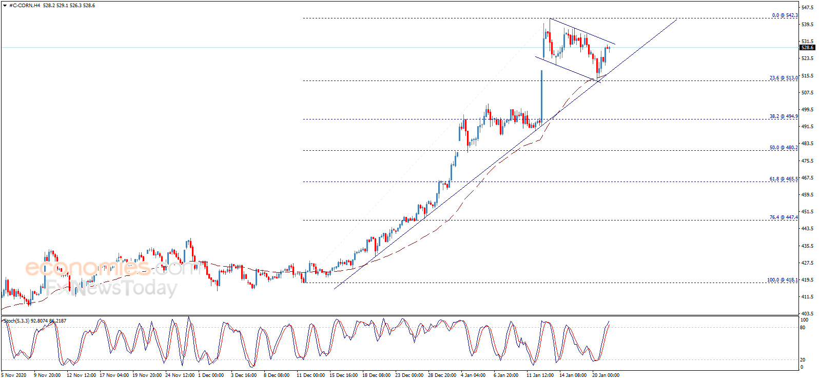 Midday update for Corn price 21-01-2021