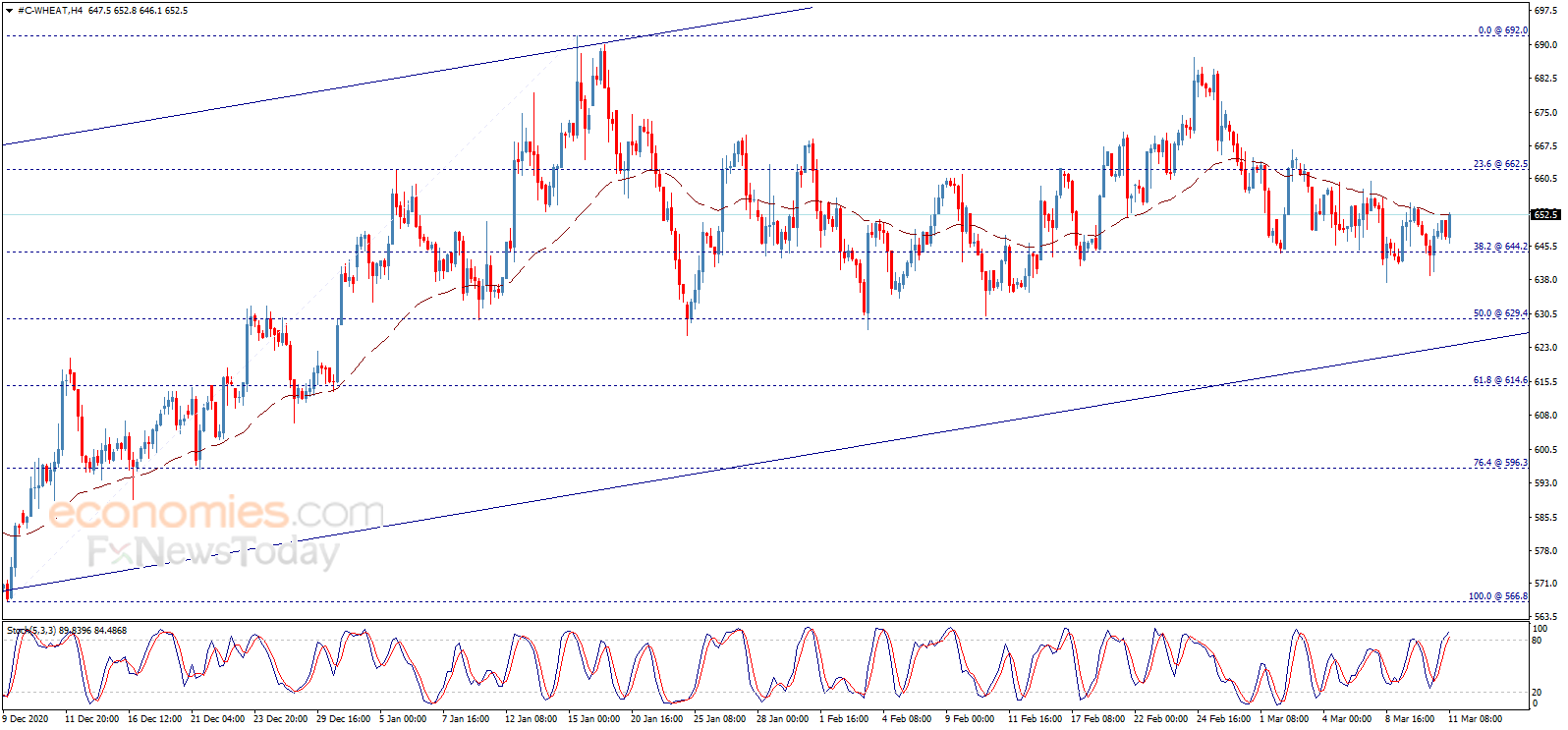 Midday update for Wheat price 11-03-2021